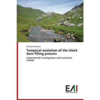 Temporal Evolution of the Check Dam Filling Proc