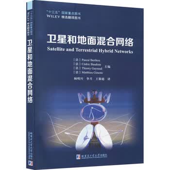 卫星和地面混合网络 图书