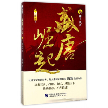 盛唐崛起(1塞上风云)
