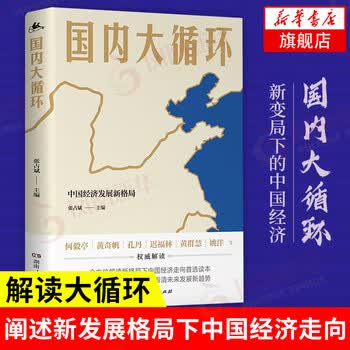 国内大循环 中国经济发展新格局 张占斌主编 何毅亭黄奇帆等 中国道路发展趋势 新华正版