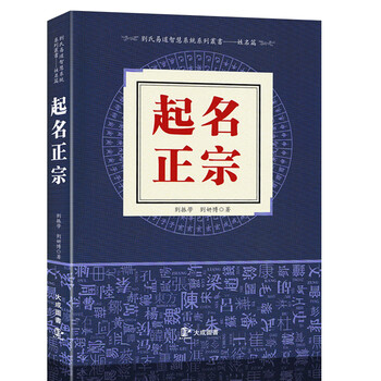 正版刘氏易道智慧系统系列丛书-姓名篇 起名正宗 刘振学刘妍博 姓名学书籍取名起名字五行 取名字宝宝取