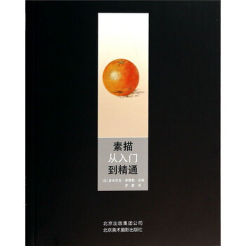 素描从入门到精通