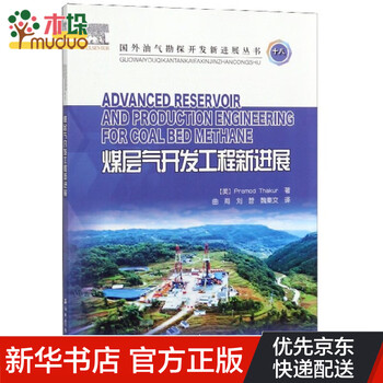 煤层气开发工程新进展/国外油气勘探开发新进展丛书