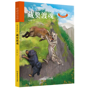 好设计，有方法：我们在搜狐做产品体验设计
