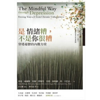 台版 是情绪糟 不是你很糟穿透忧郁的内观力量 青春励志生活工作心灵鸡汤心理励