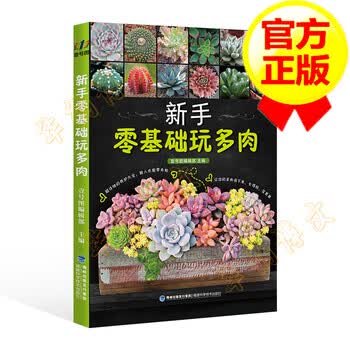 新手零基础玩多肉
