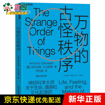 万物的古怪秩序