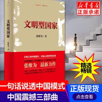 文明型国家(精)/中国话语丛书