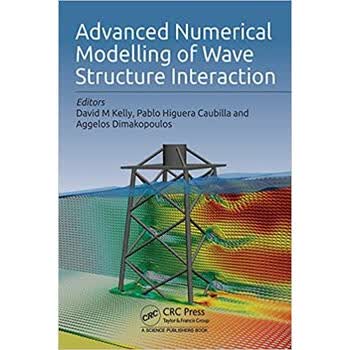 Advanced Numerical Modelling of Wave Structure I