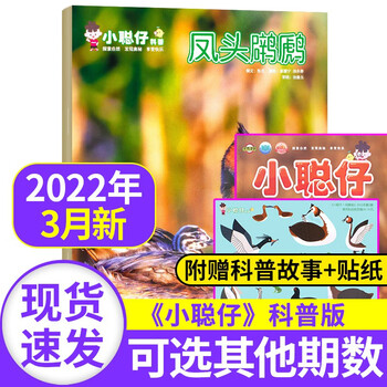 小聪仔（科普版）杂志2022年【单本多期可选】 2~8岁幼儿益智兴趣智力开发低年级儿童科普百科自然探索奥秘非过期刊 小聪仔（科普版）2022年3月