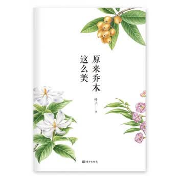原来乔木这么美