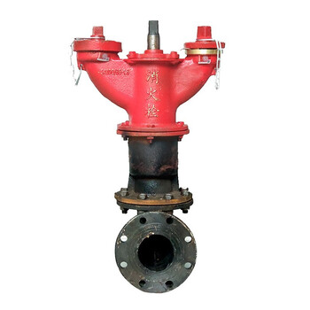 地下式室外消火栓 SA100/65-1.0 P=1.6MPa【图片 价格 品牌 报价】-京东