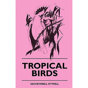 Tropical Birds