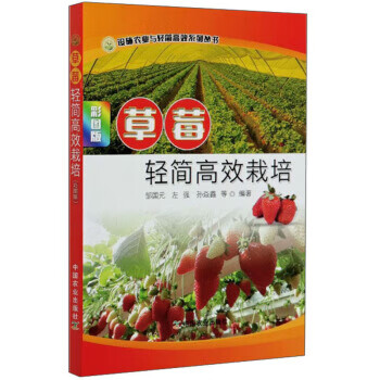 莓轻简高效栽培