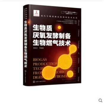 现代生物质能高效利用技术丛书 生物质厌氧发酵制备生物燃气技术 袁振宏