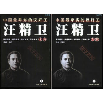 汪精卫全传 上册 王蔼明