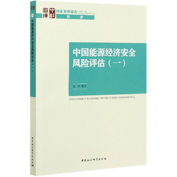 中国能源经济安全风险评估(1)/国家智库报告
