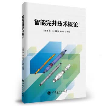 智能完井技术概论