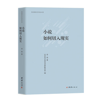 小说如何切入现实