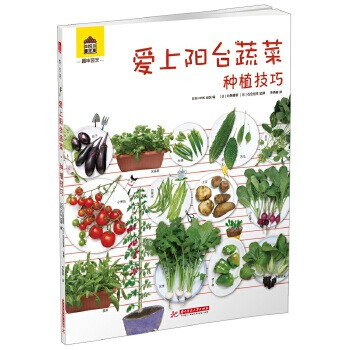 爱上阳台蔬菜:种植技巧