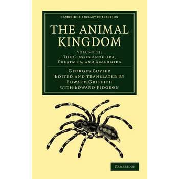The Animal Kingdom - Volume 13