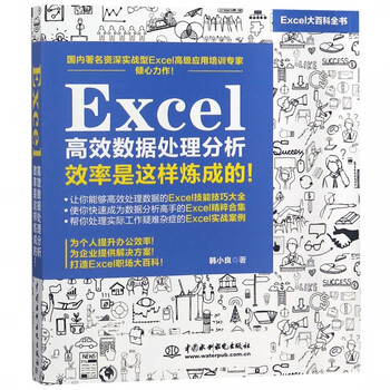 Excel高效数据处理分析(效率是这样炼成的)