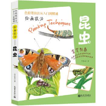 绘画技法:昆虫