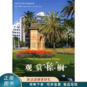 观赏棕榈精