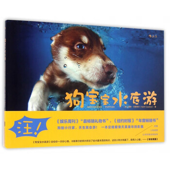 狗宝宝水底游