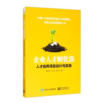 企业人才孵化器：人才培养项目设计与实施