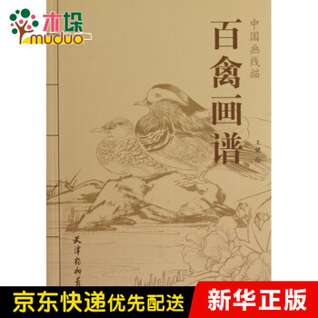 百禽画谱(中国画线描)