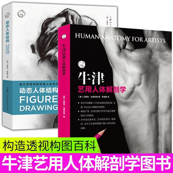 【2册】牛津艺用人体解剖学+动态人体结构:迪士尼导师教你画人体姿态 人物人体素描速写书籍 上海人美社