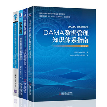 数据管理&治理4册：穿越数据的迷宫：数据管理执行指南+DAMA数据管理知识体系指南+原理技术与实践