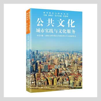 公共文化：城市实践与文化服务文化  图书