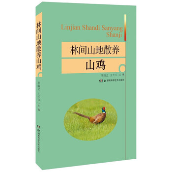 林间山地散养山鸡