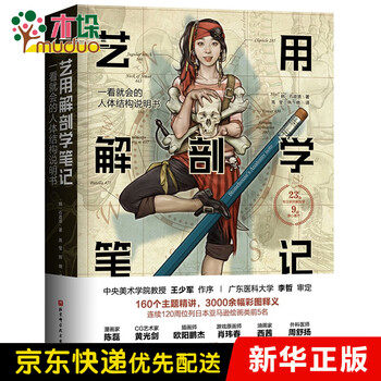 艺用解剖学笔记
