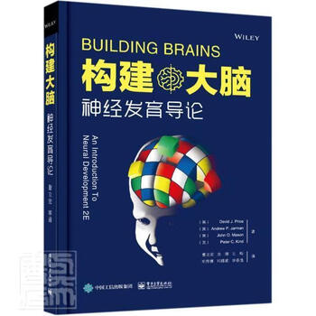构建大脑(神经)(精) 美 医学 9787121384158