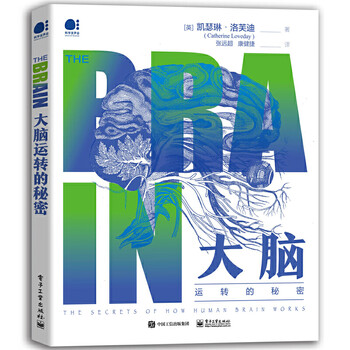 正版 大脑运转的秘密 （英）洛芙迪 电子工业出版社 9787121347801