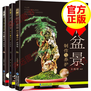 【3册包邮】图解附石盆景+山水盆景+树木盆景制作与养护(彩图版) 盆景制作教材入门书籍