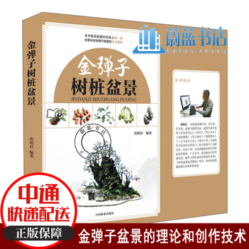 金弹子树桩盆景论述金弹子的实力著作 盆景书入门修剪盆景造型书 花卉盆景松柏黄杨盆景书籍大全庭院室内树