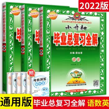 2022新版】小升初毕业总复习全解 小升初语文数学英语