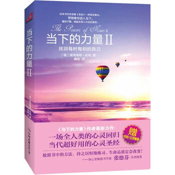 当下的力量Ⅱ——找回每时每刻的自己
