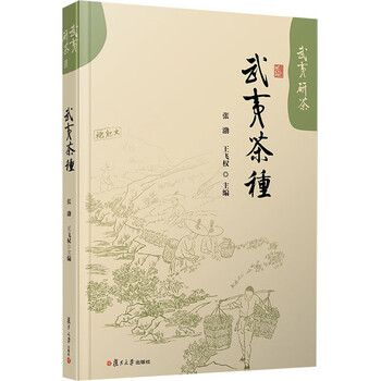 武夷茶种