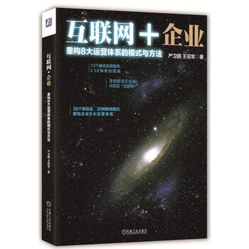 互联网+企业(重构8大运营体系的模式与方法)