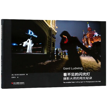 看不见的闪光灯(摄影大师的用光秘诀)