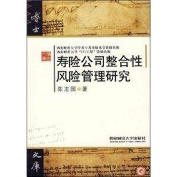 寿险公司整合性风险管理研究