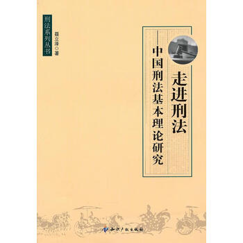 走进刑法:中国刑法基本理论研究 聂立泽【正版图书】