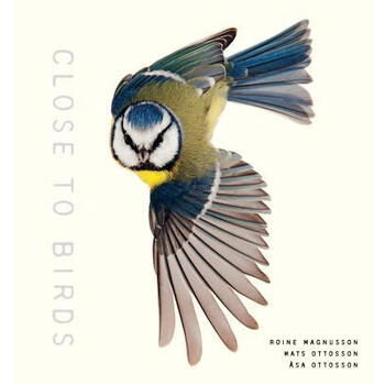 Close to Birds: An Intimate Look at Our Feathere