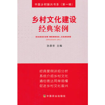 乡村文化建设经典案例【正版图书】
