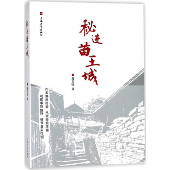 秘进苗王城